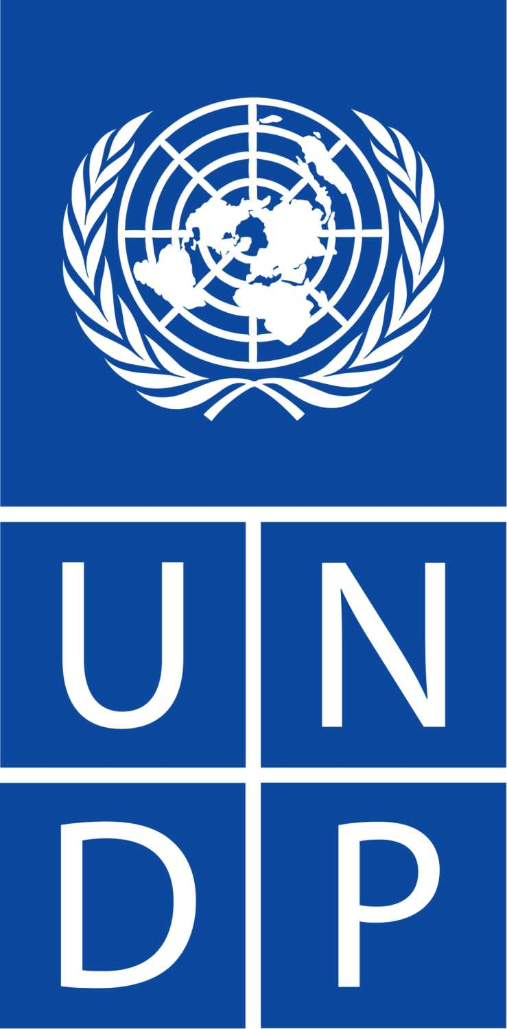 UNDP – youth4planet
